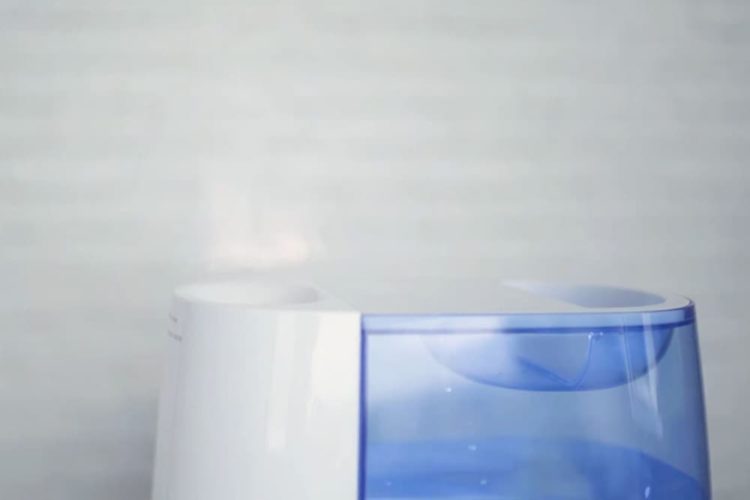 Should I Put Hot Or Cold Water In My Humidifier BreathAlong